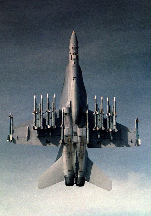 F-18 E/F AMRAAM dual carry - Page 2 - Aviation Discussion & Research ...