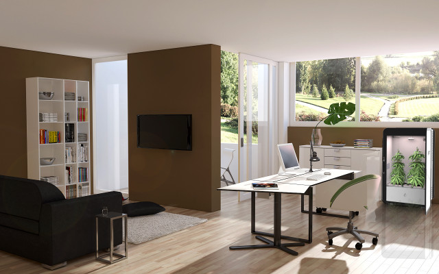 Leaf Cubicle Light Shield | Shelly Lighting